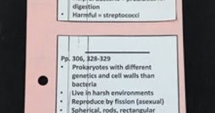Beg, Borrow, and Teach!: 3 Kingdoms and 6 Domains Differentiated Foldable