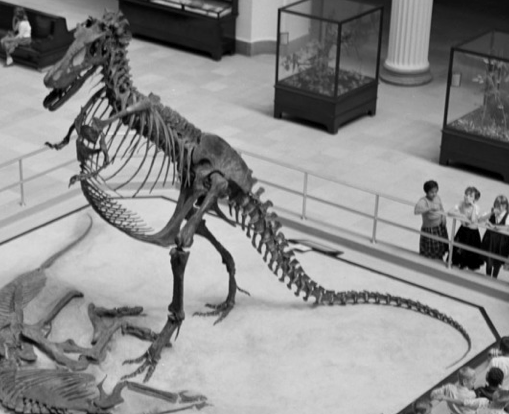 Antediluvian Salad: Night Stalker Rex Part II: Tyrant Tummy Tucks ...