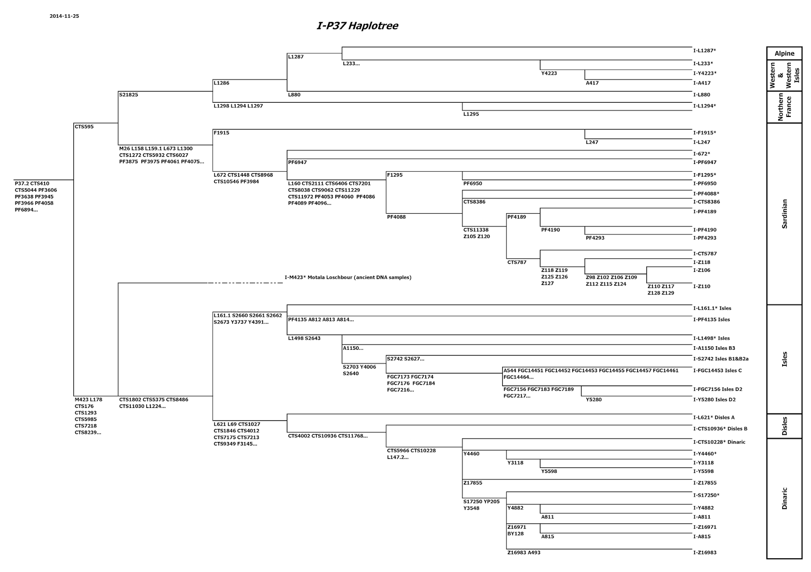 I-P37.2 haplogroup research: December 2014 Tree for I-P37