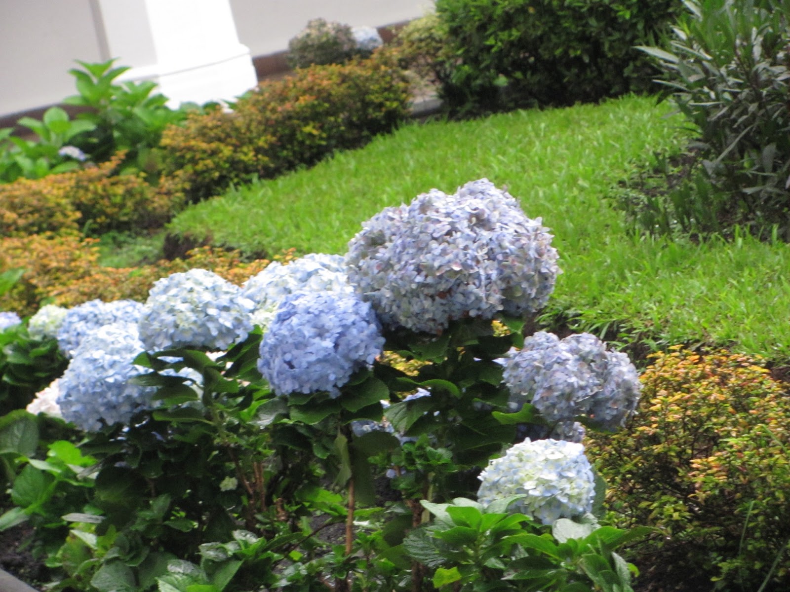 FAUNA Y FLORA DE COLOMBIA