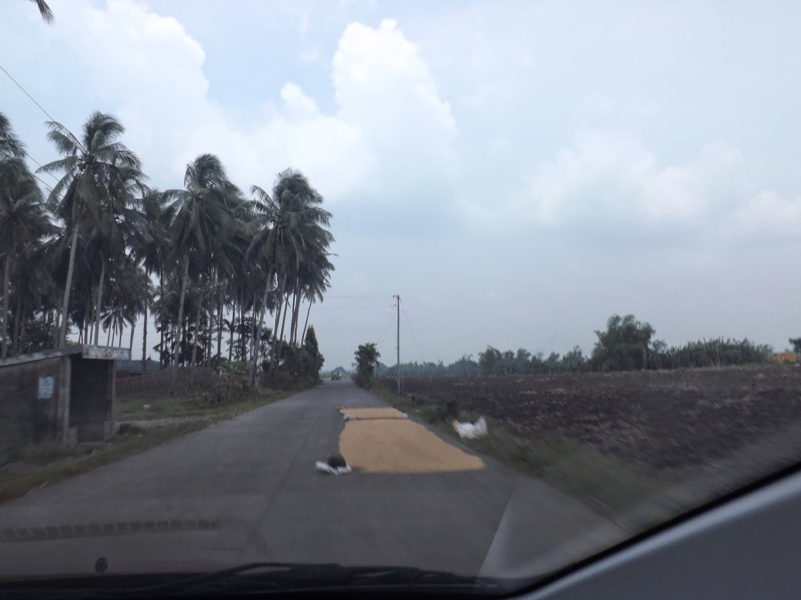 Drying Rice - Touristang Pobre