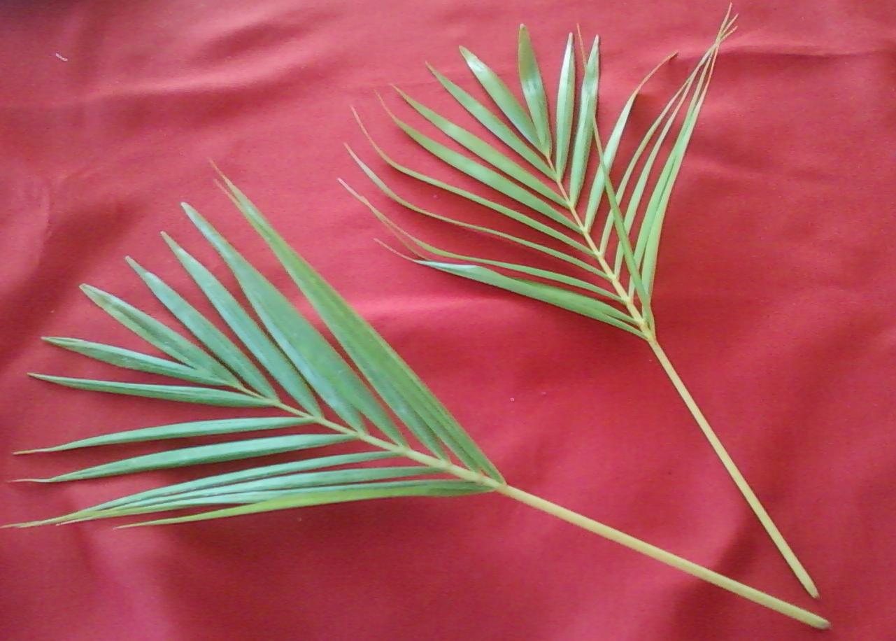 Partager avec plaisir - Recettes de cuisine faciles et idées de ...