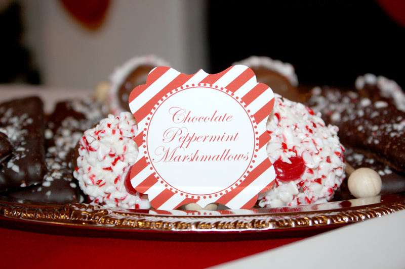 Christmas Party with a Peppermint Twist | BellaGrey Designs