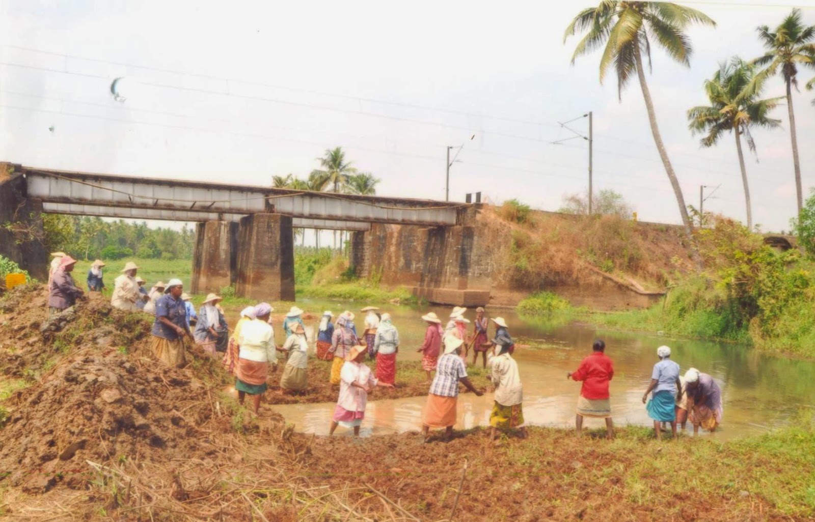 parappukkara grama panchayat