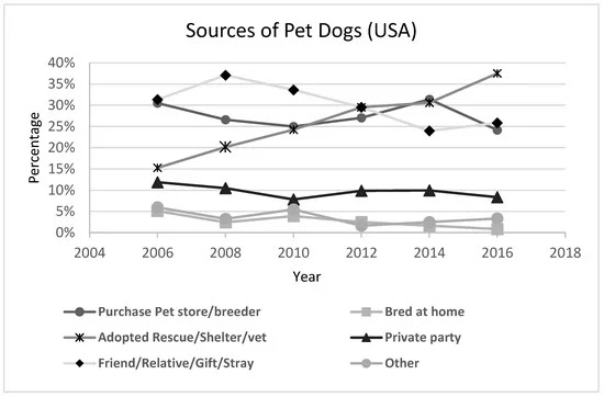 America’s Changing Relationship with the Pet Dog