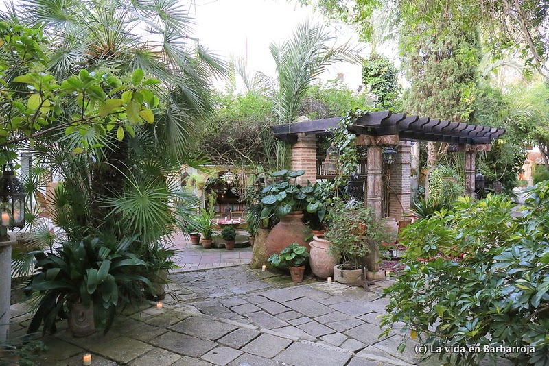 La vida en Barbarroja: Marokkaanse theetuin