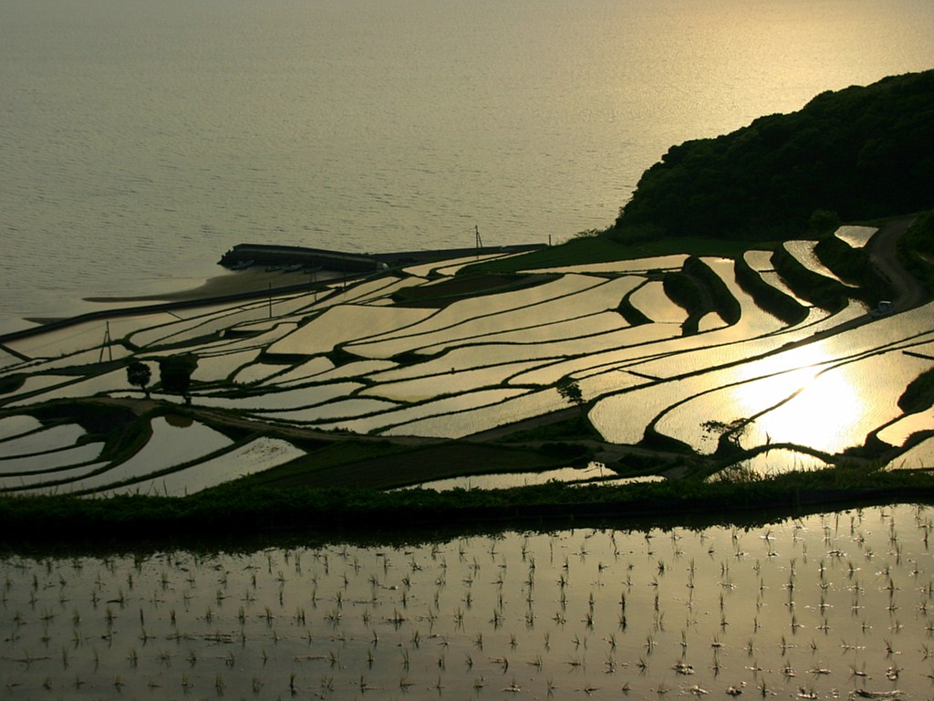 Four Seasons in Japan: 2016