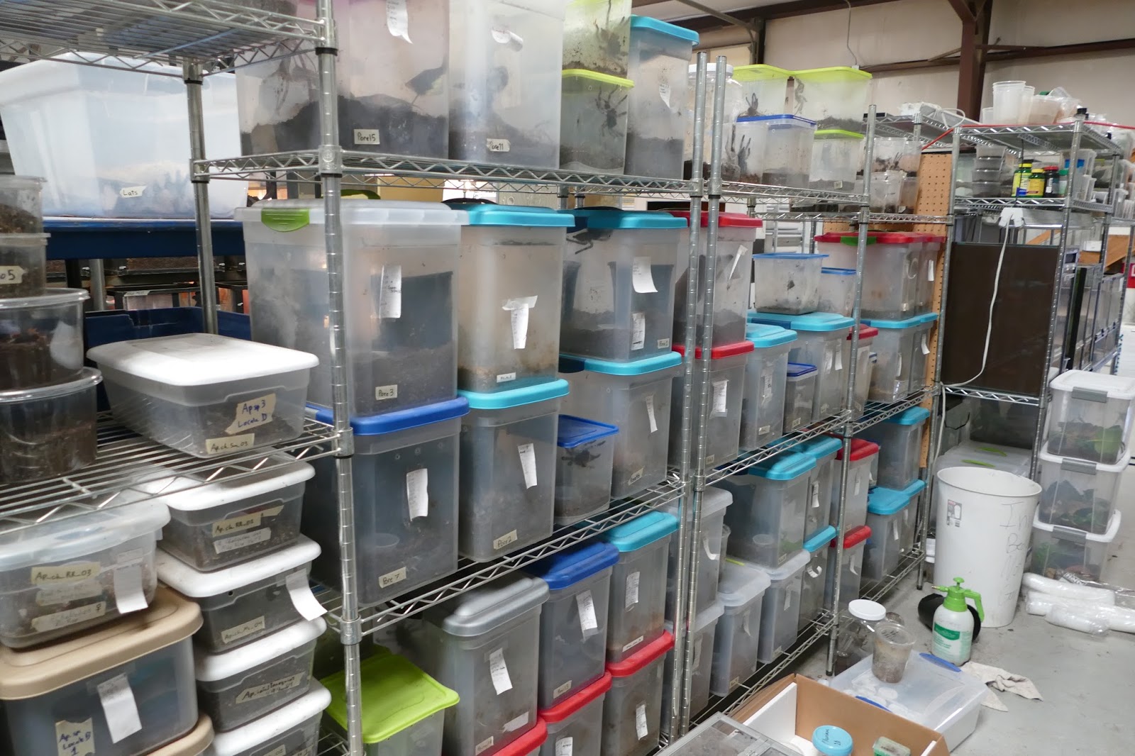 Visiting a Reptile and Arachnid Breeding Facility - Teaching Science ...