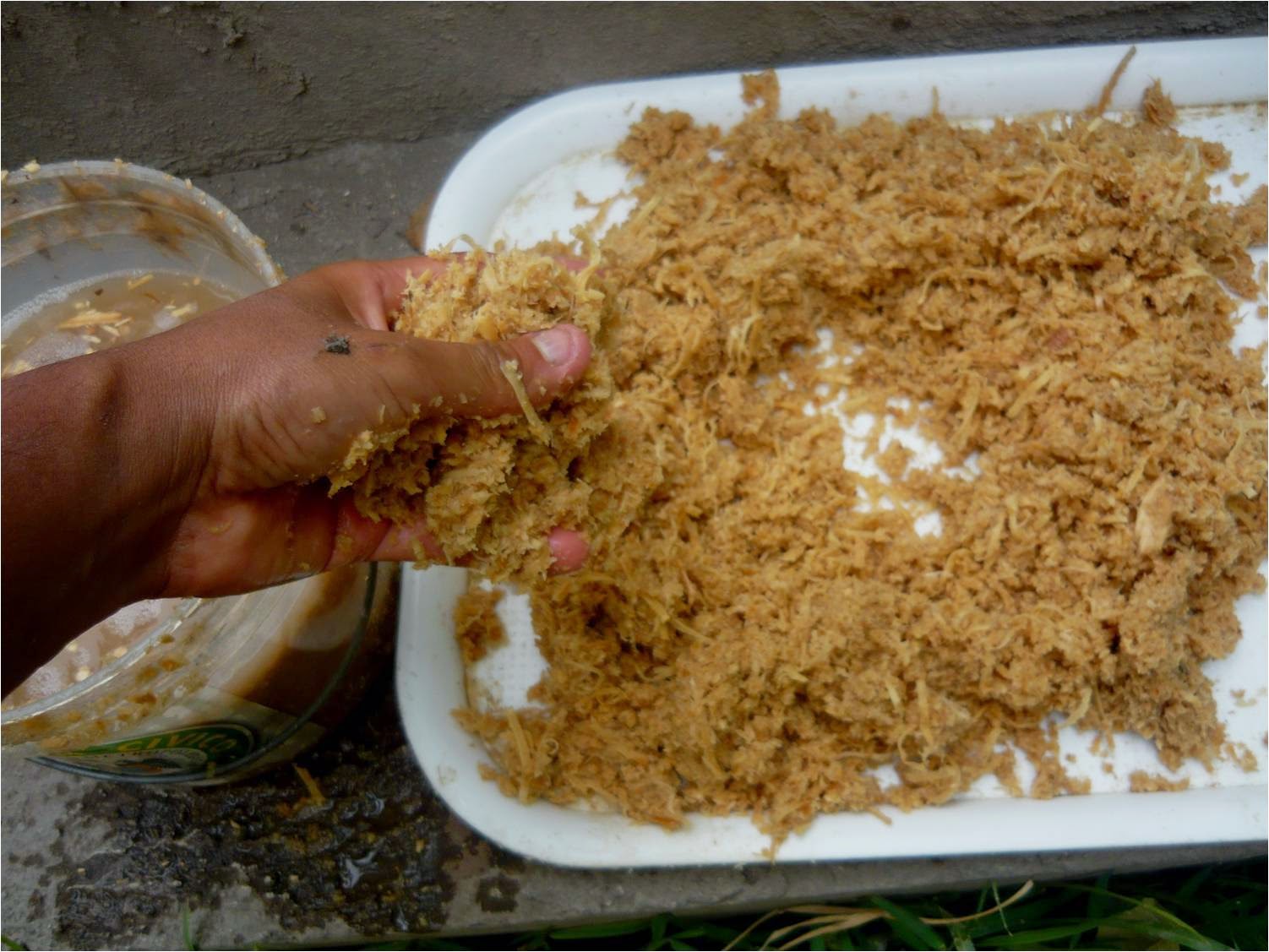 ALTERNATIVA ECOLÓGICA: LAVADO DEL ASERRÍN PARA USARLO EN EL BIOHUERTO