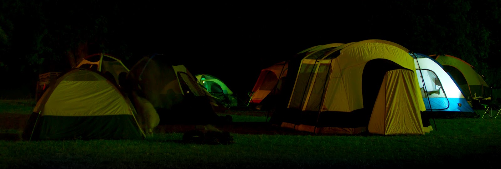 In-Sync Exotics' Cat Tales: A Unique Camp-Out at In-Sync Exotics!