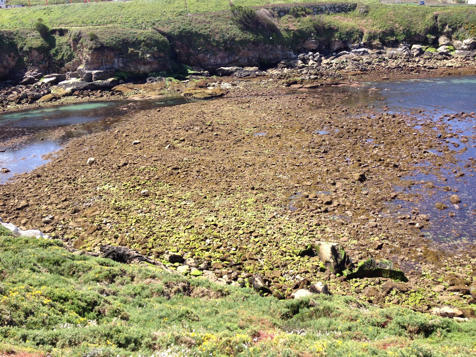 As Lapas Beach (Galicia, Corunna, Spain) / Playa de las Lapas (A Coruña ...