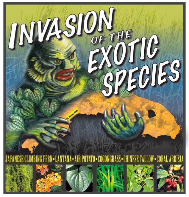 Illinois Invasive Species Awareness Month: The Hunt for Invasive ...