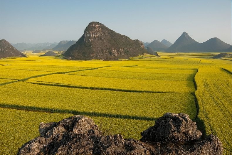 Canola Flower Fields, China | 20 Unbelievably beautiful places.