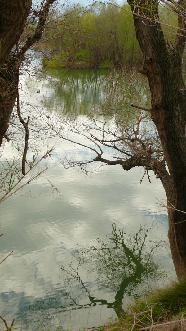 Los colores del agua del río Ebro