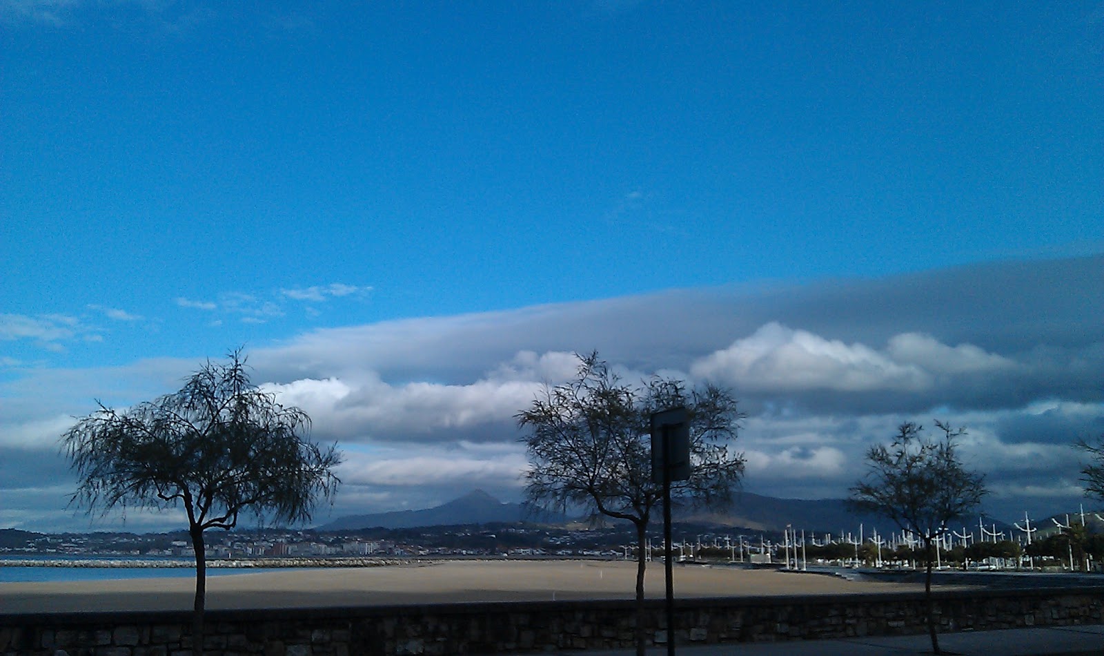 Axul-axula y de cuando en ves, un flor...