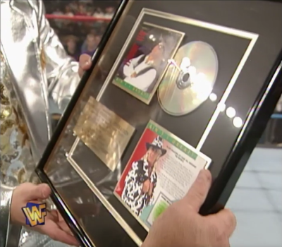 Retro Oasis: A Taste of the New Generation: Boyhood Dreams: WWF In Your ...