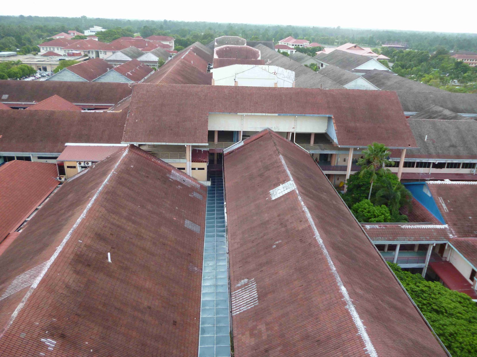 The Early Malay Doctors: Views of USM Health Campus