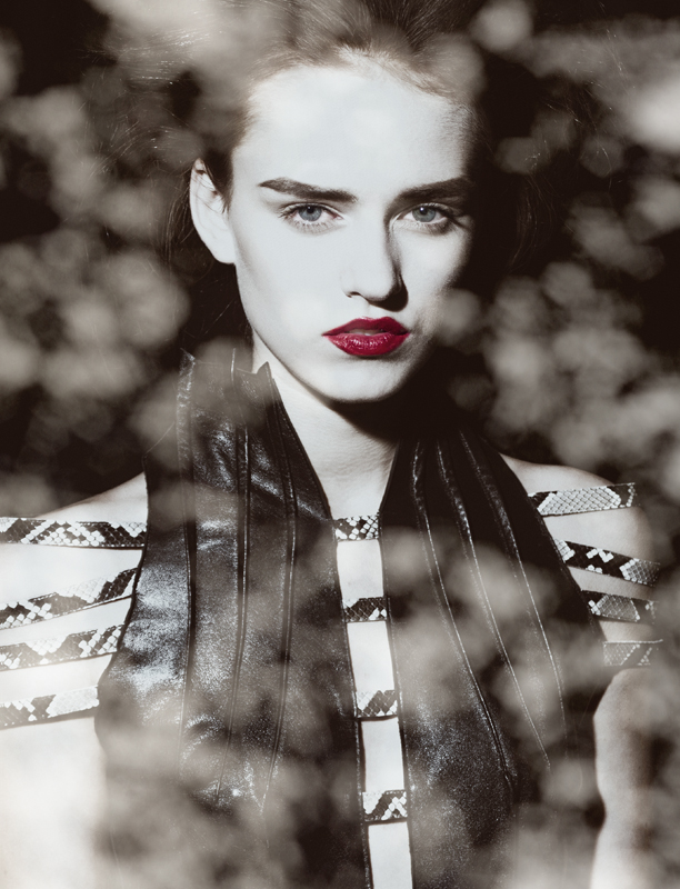 Major Model Women Vilte V By Gl Wood