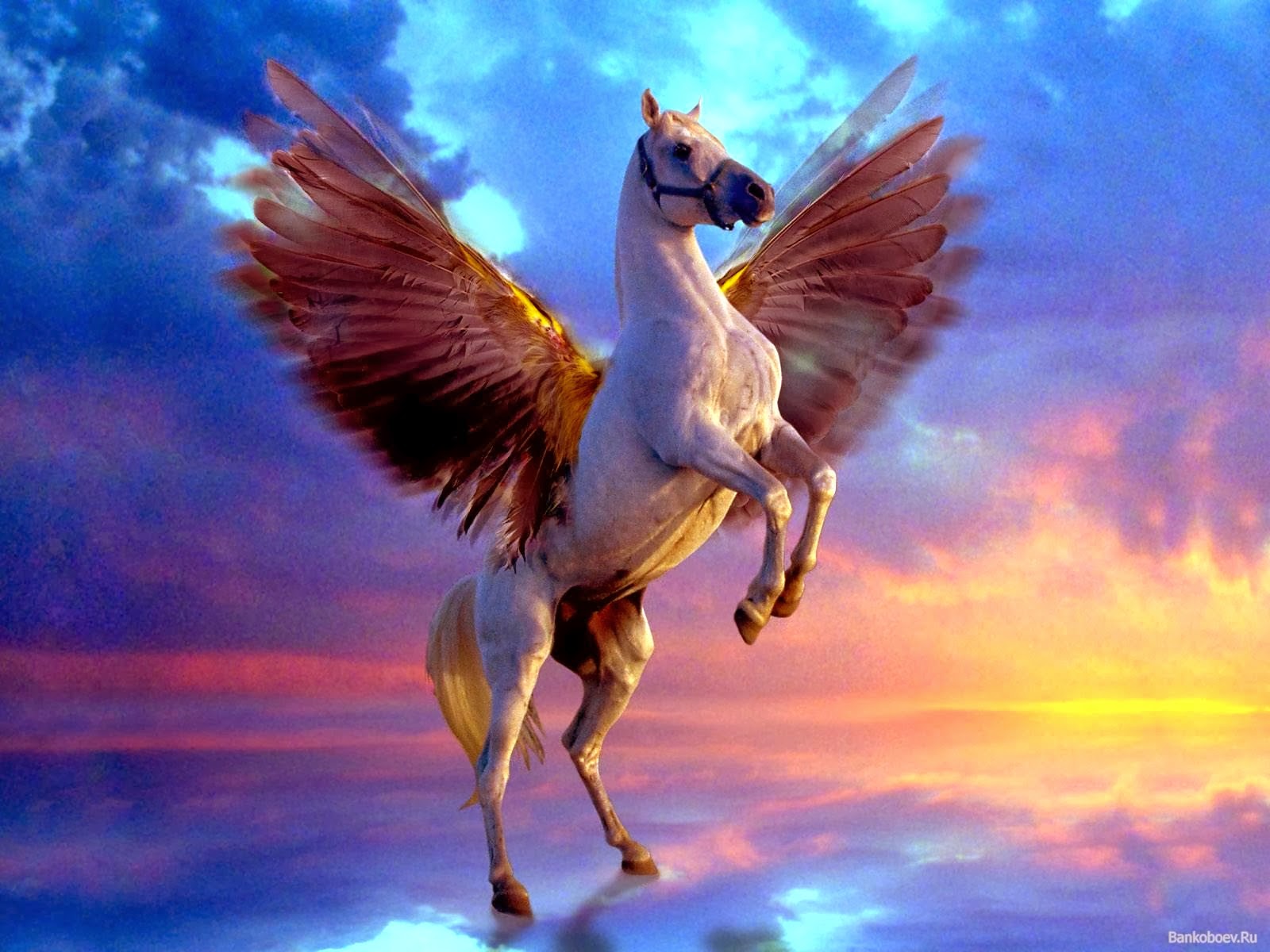 PURPURA : PEGASO - EL CABALLO MITOLÓGICO ALADO