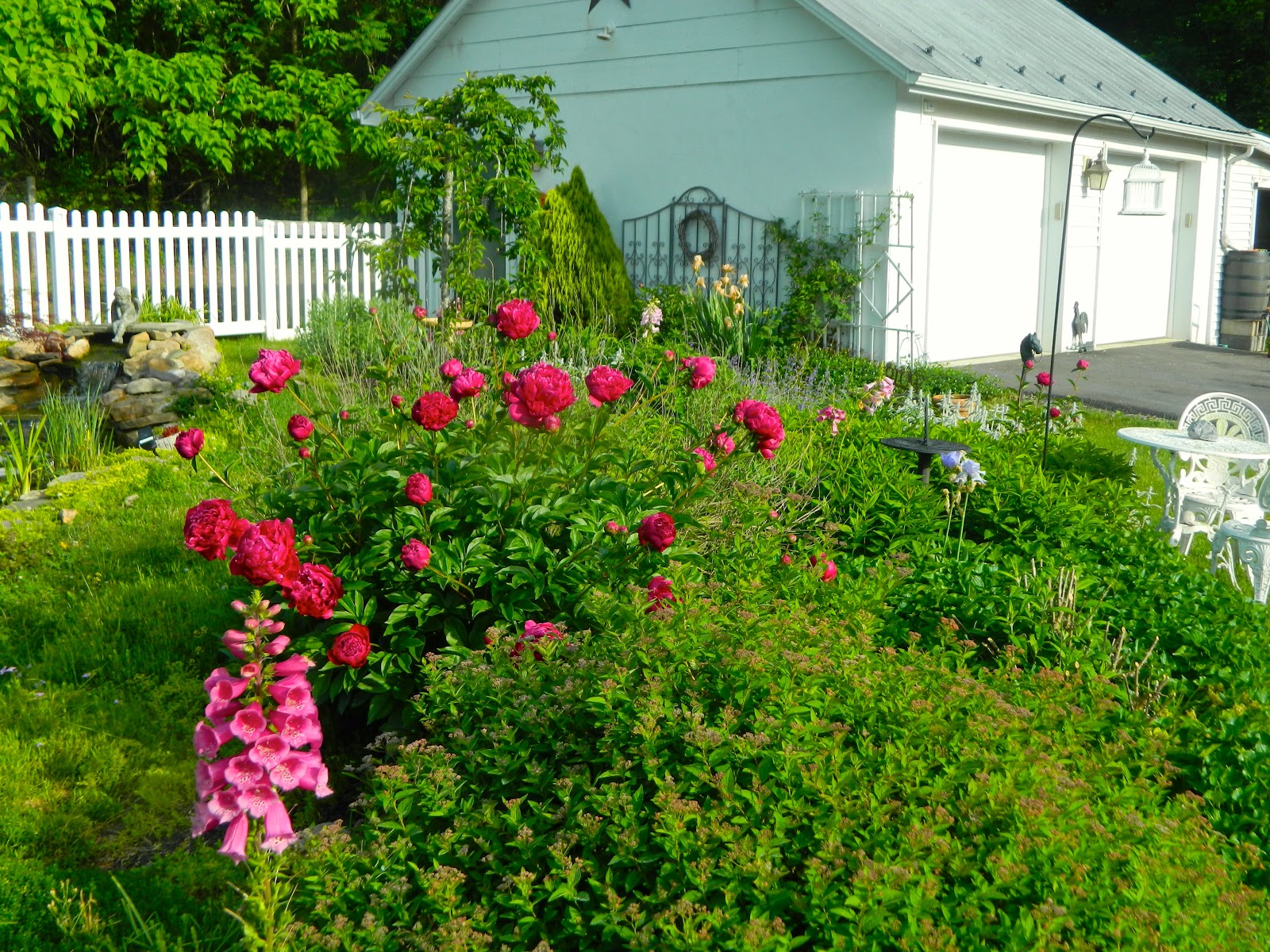 Pam's English Cottage Garden: My Garden Year in Review