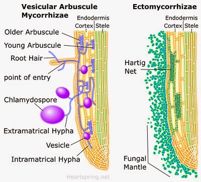 Reflective Journal: April 2015