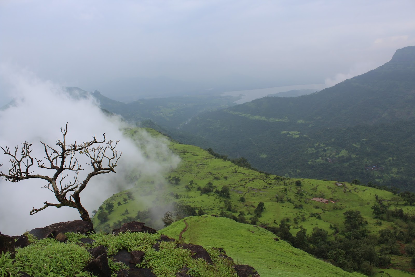 Trek to Garbett Point