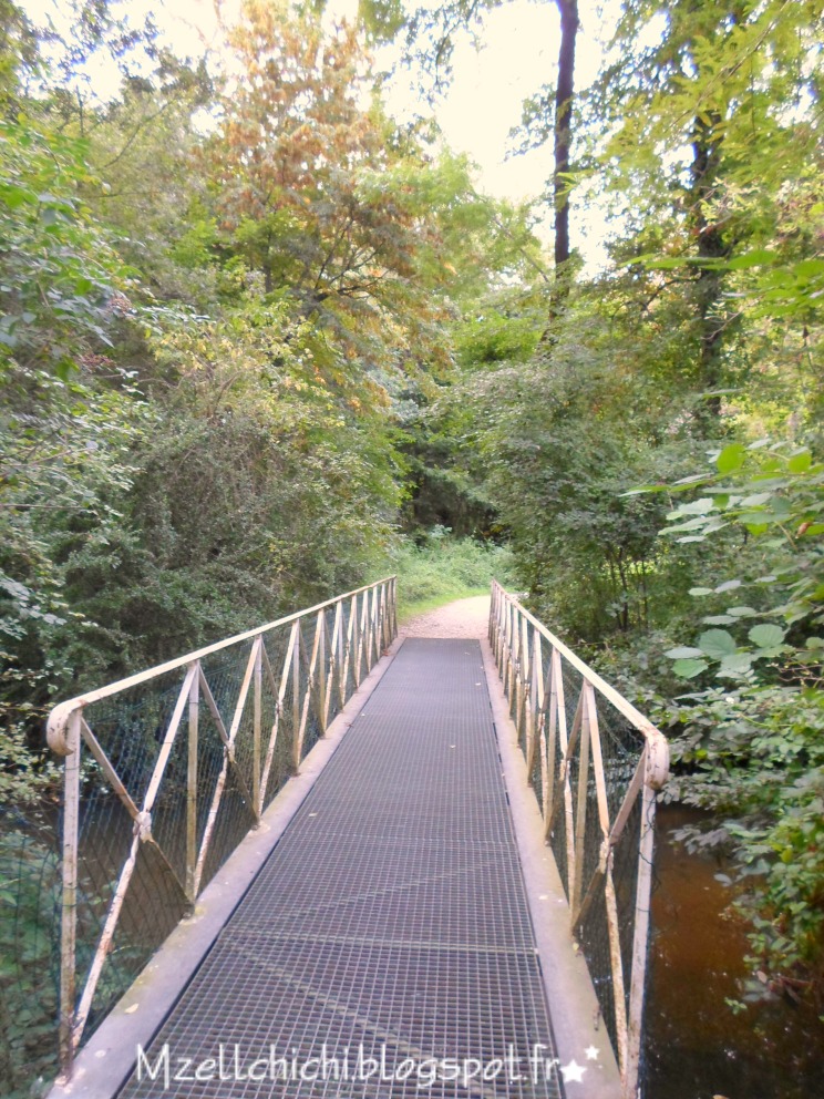 Balade au fil de l'eau bourde: Le parc ou la foret? Pourquoi choisir ...