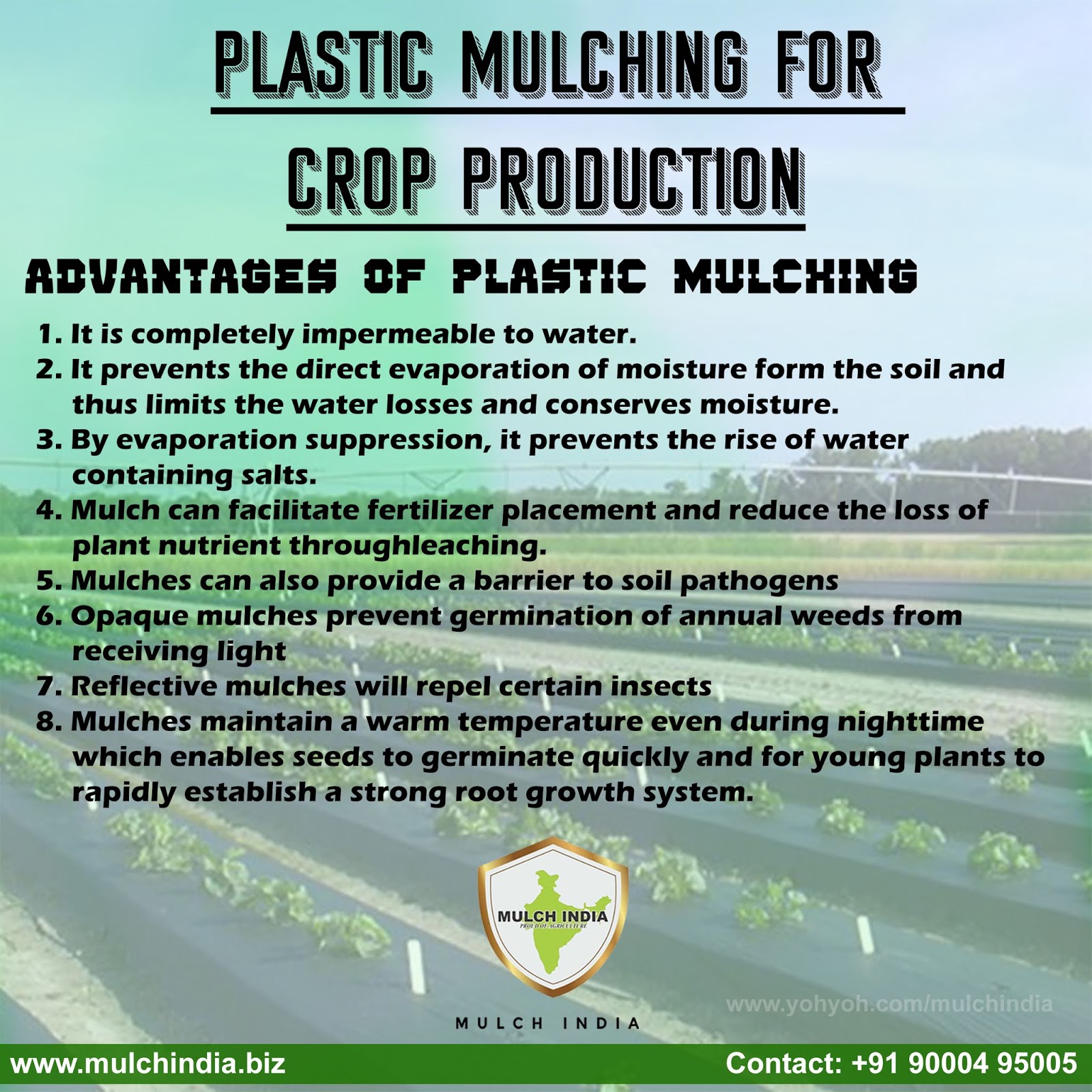 MulchIndia: PLASTIC MULCHING FOR CROP PRODUCTION Advantages of plastic ...