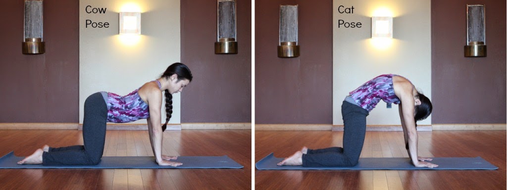 upbeat uplifts: Trying Something New