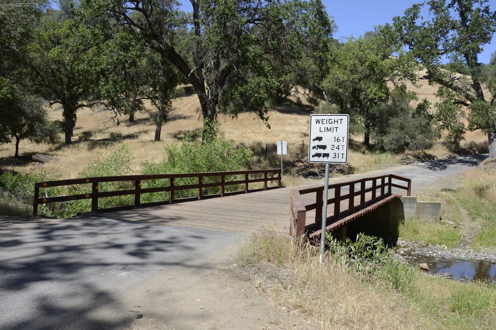 What Is Dogtown California