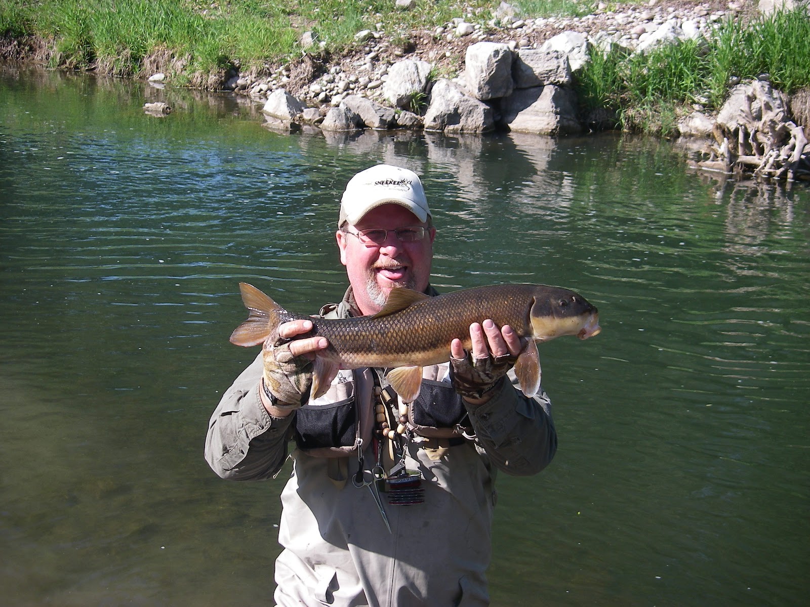 Wild Trout Chronicles: Kissing Suckers....