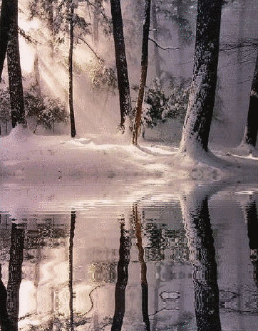 vavelhaber: ART AND NATURE GIF ANIMATIONS (2) ΦΥΣΗ ΚΑΙ ΤΕΧΝΗ