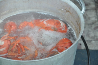 Calico Kitchen =^.^=: Boiled Lobster