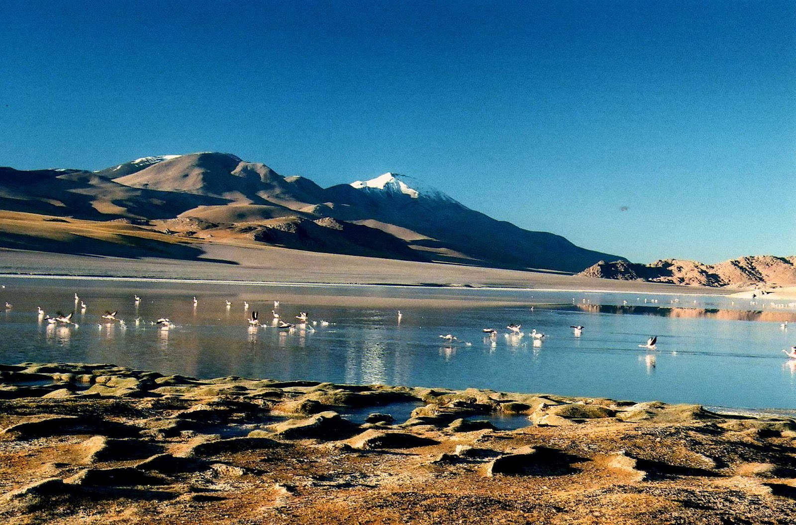 CERCANORTE: El cráter del Volcán Galán, Catamarca, Argentina