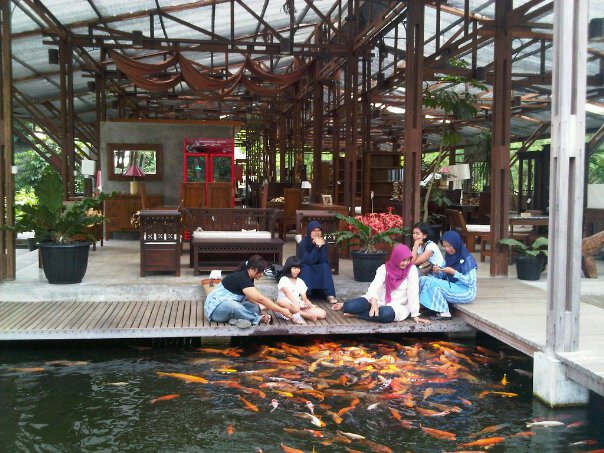 Harga Tiket Masuk Kuntum Farm Field Bogor - Berbagi Informasi