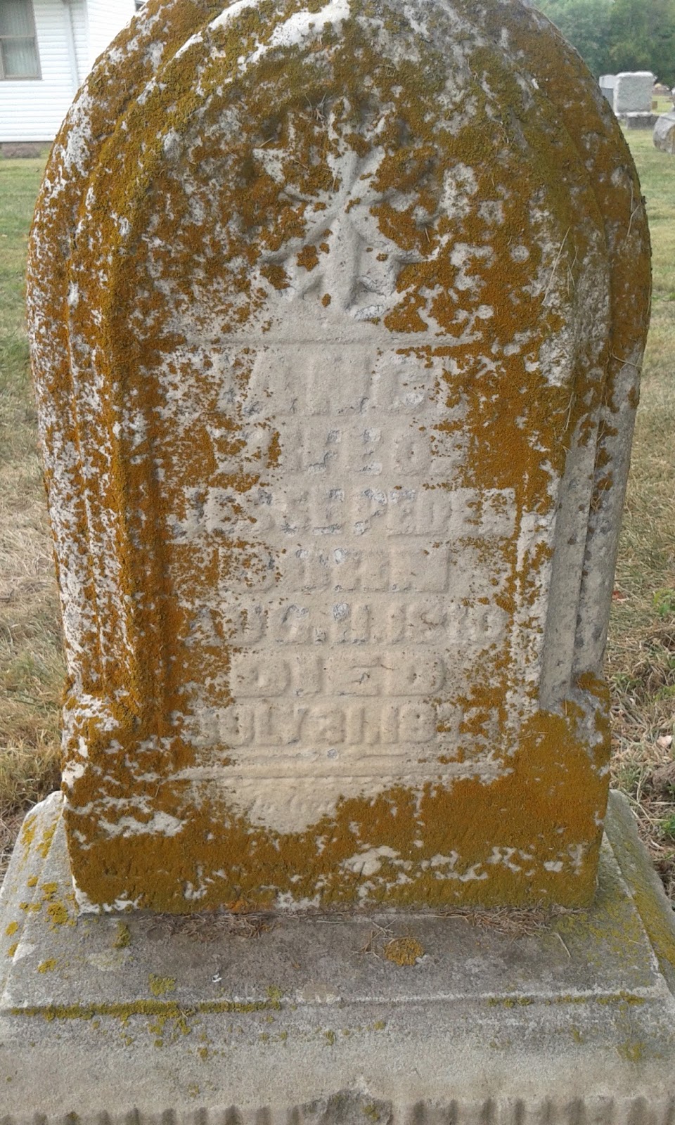 A Walk Through The Tombstones: Chambersville Cemetery