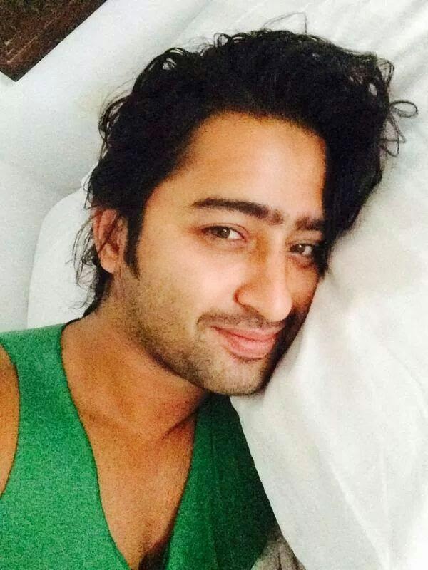 Profil dan Biodata Shaheer Sheikh Pemain Mahabarat (Foto) | Informasi ...