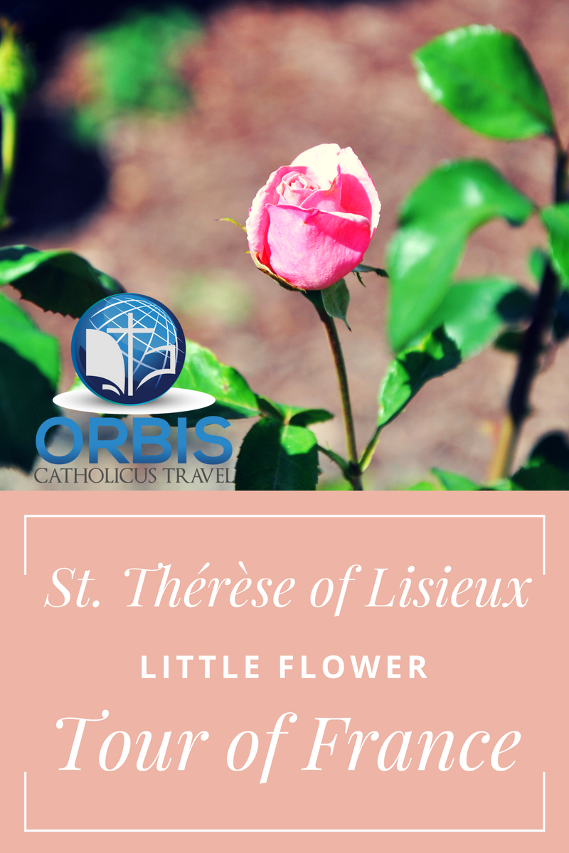 Orbis Catholicus Secundus: Saint Thérèse of Lisieux "Little Flower ...