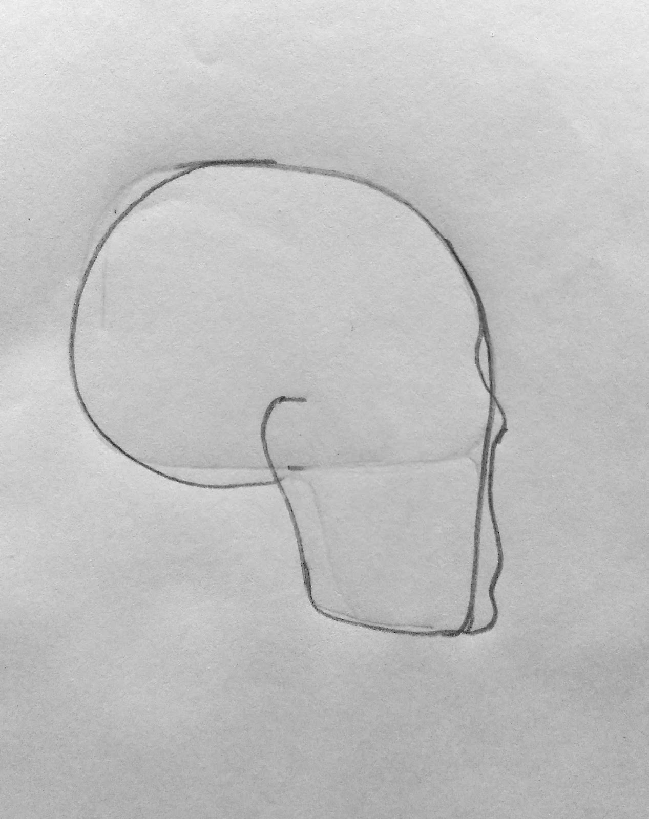 Draw in easy steps: How to draw Skull diagram - CBSE, NCERT