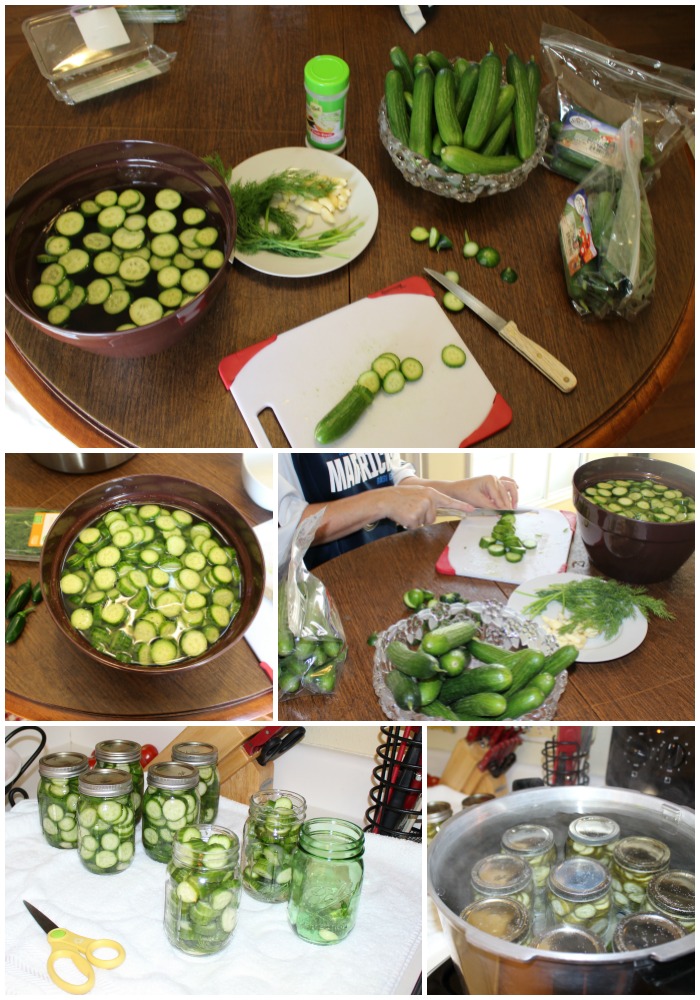 Texas Kirkwoods: Garlic Dill Pickle Slices