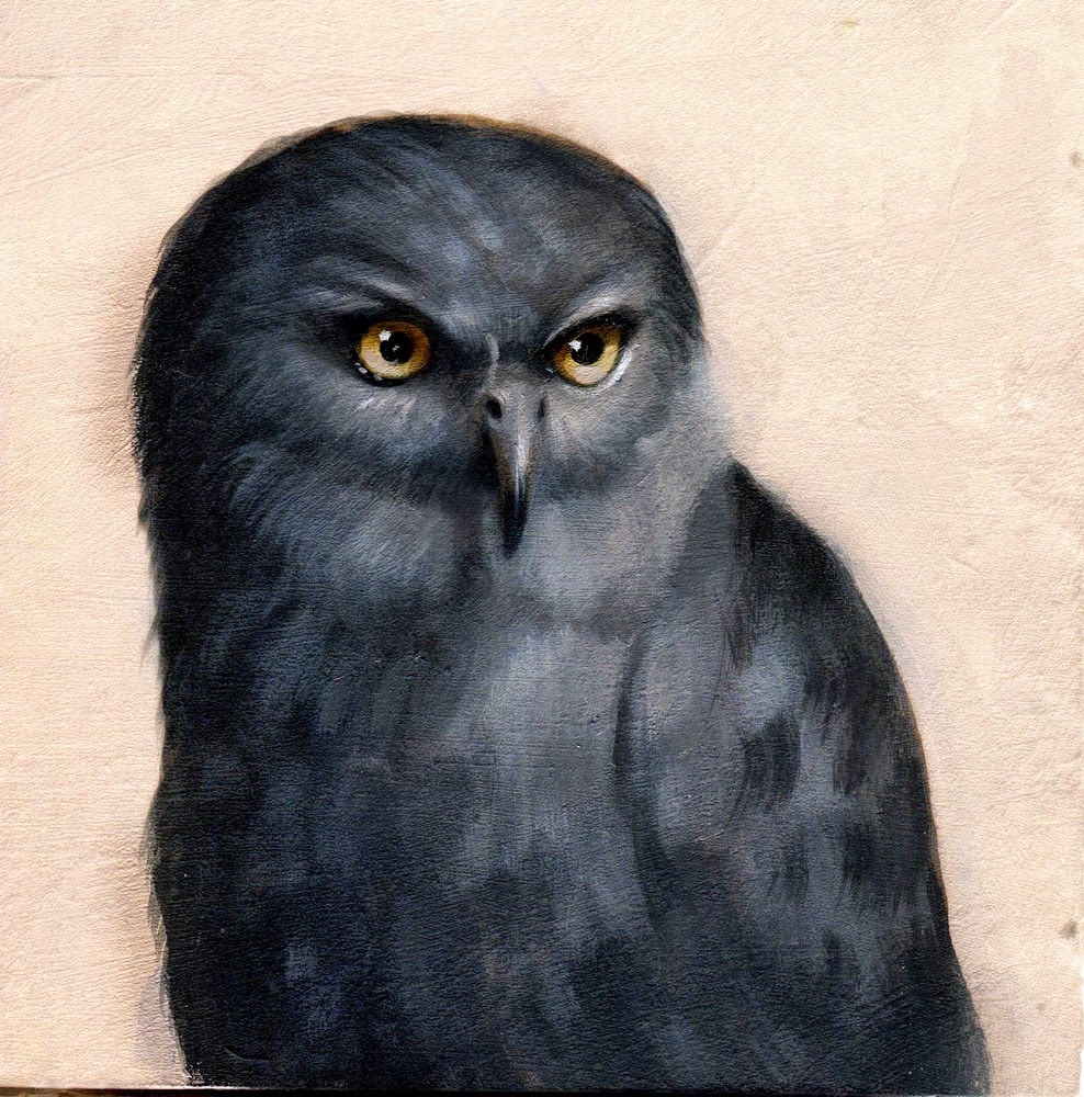 INSIDE THE ROCK POSTER FRAME BLOG: New Prints by Steven Daily