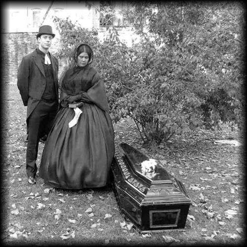 Vermont Dead Line: Vampires - New England and the World