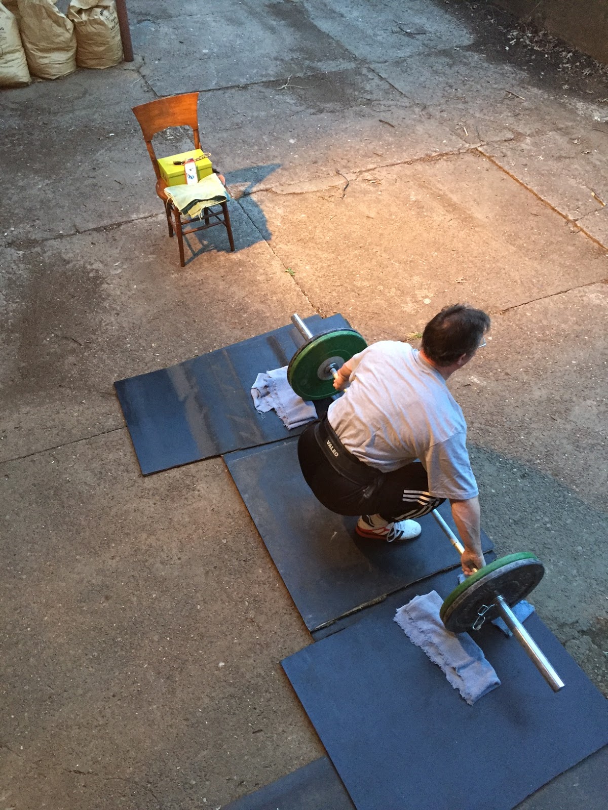 Dinosaur Training: What's Your Favorite Exercise?