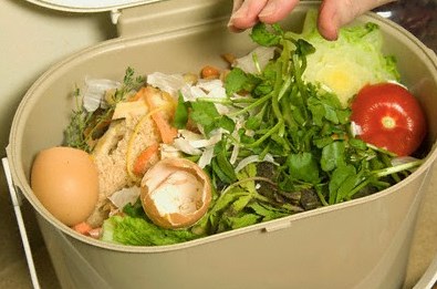 Contoh Limbah Organik - Blog Tutorial