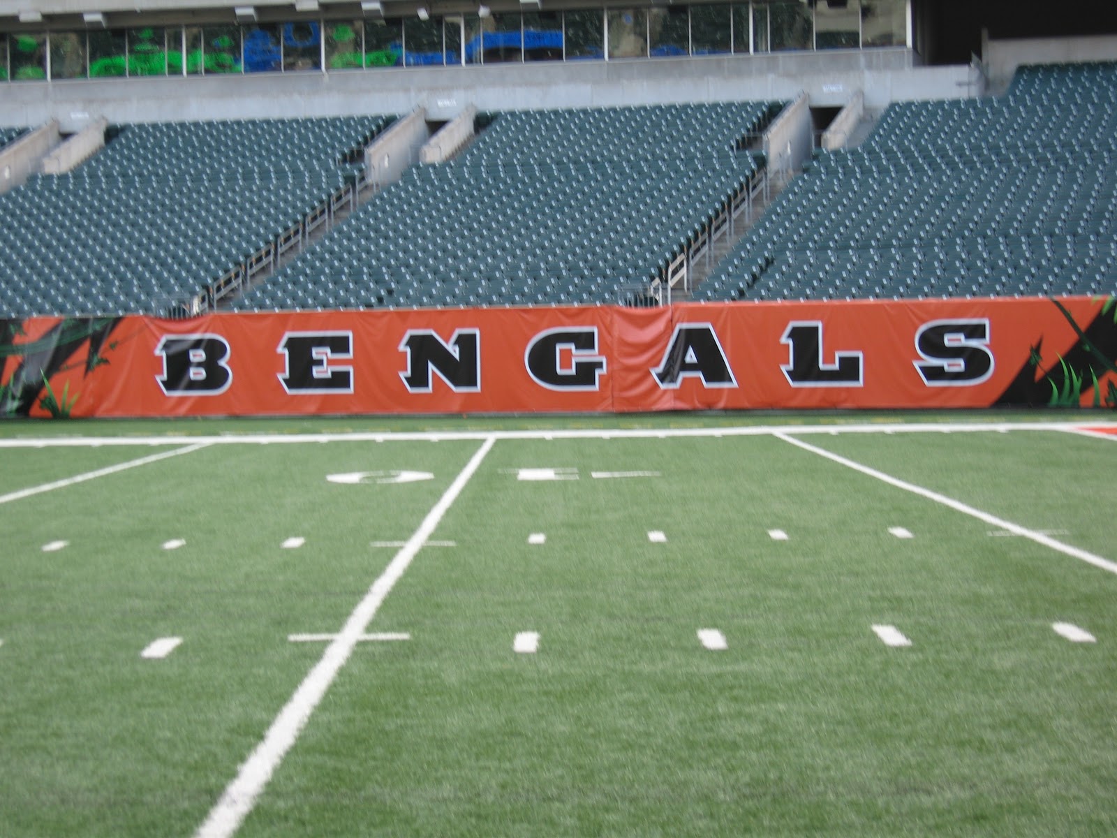 iaTURF: CINCINNATI BENGALS STADIUM