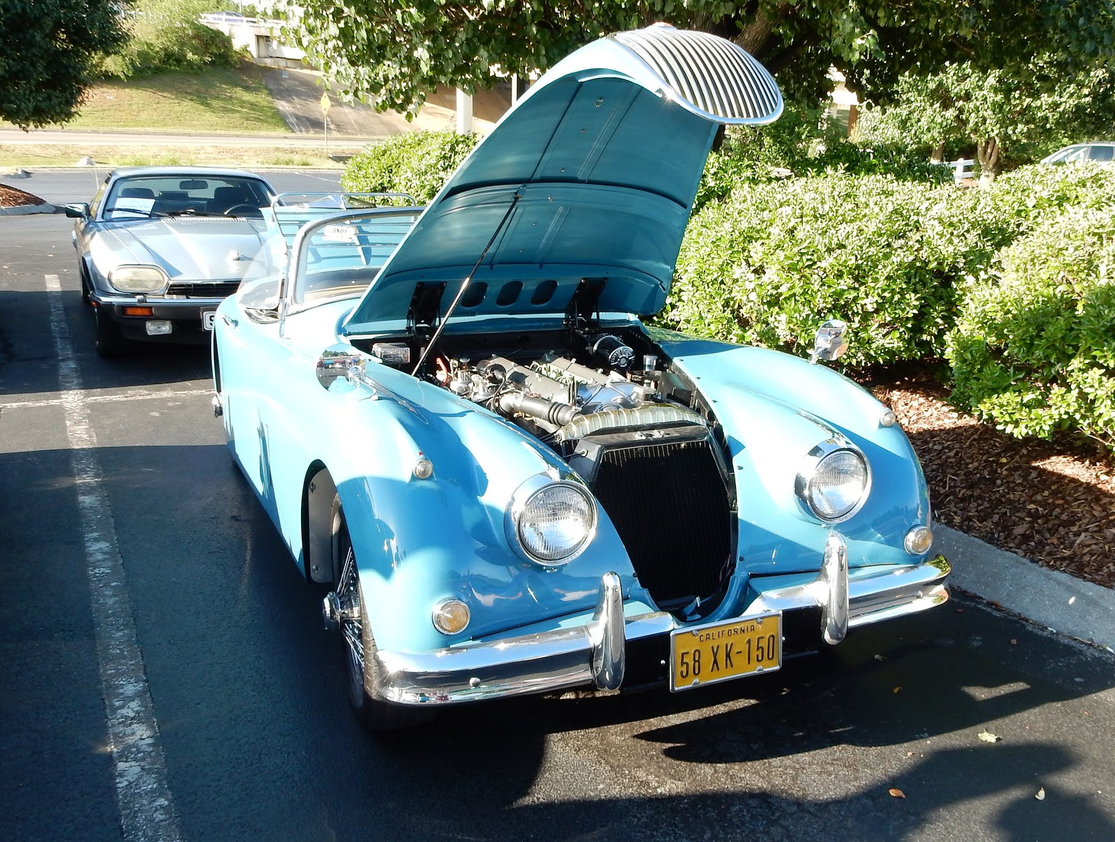 Fifty, not Frumpy: Drive Your British Car