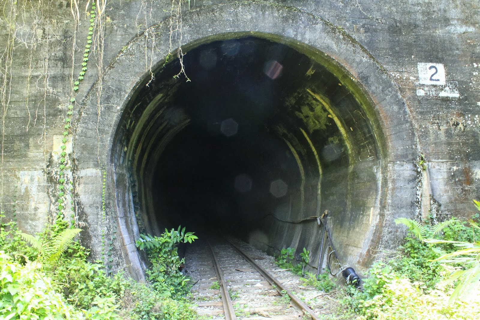 Terowong Gelap, Padang Rengas | D_08