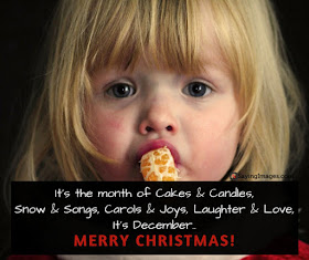 73+ Best Its Almost Christmas Quotes, Messages and Images (2023 Update)