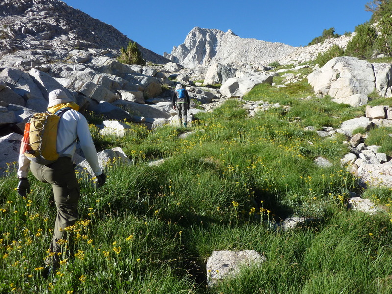 Hiking and Climbing Adventures: Gasherbrum 1 SW Face New Route Summit ...