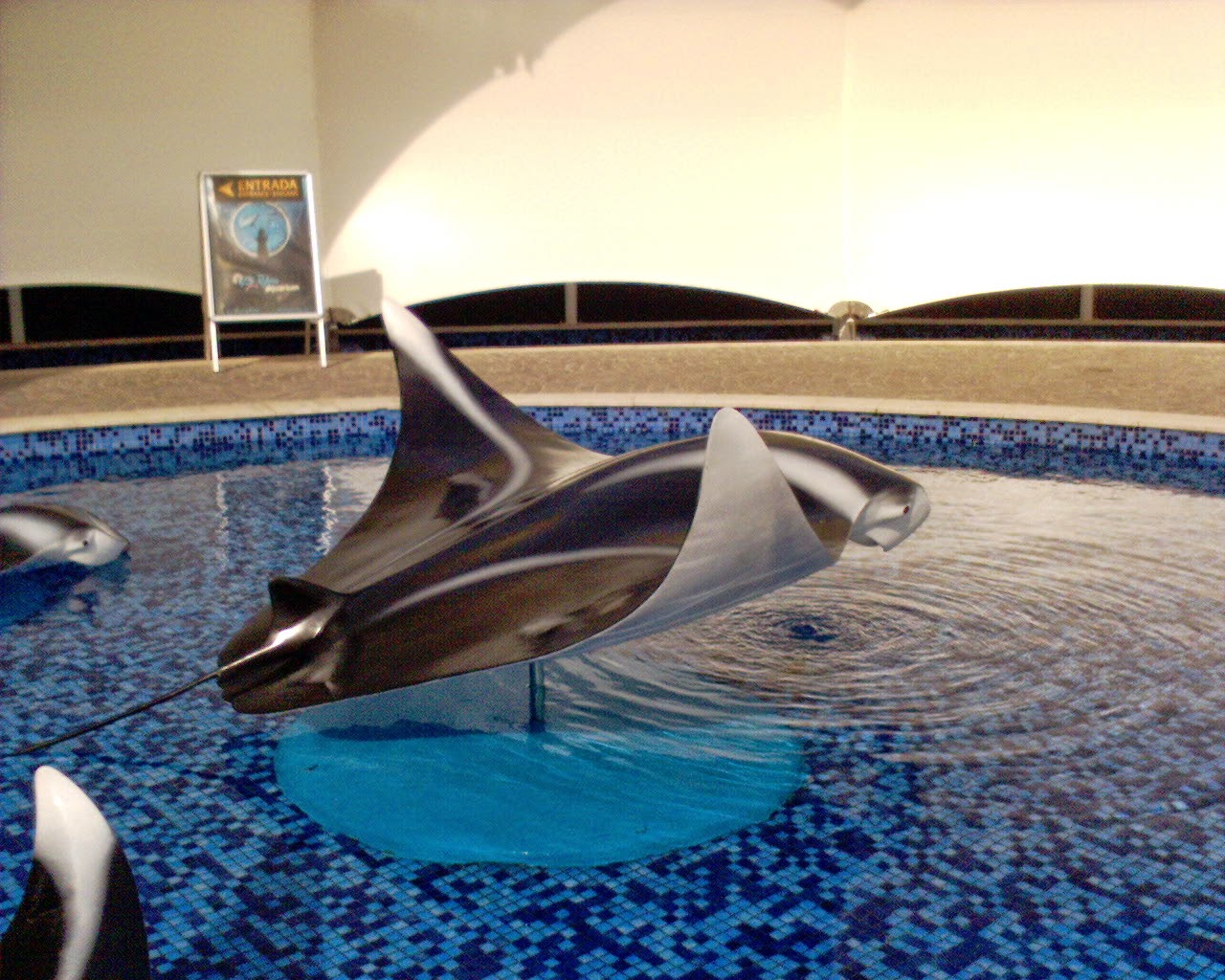 Pascal Alonzo: esculturas: mantarrayas realizadas para Palma Aquarium